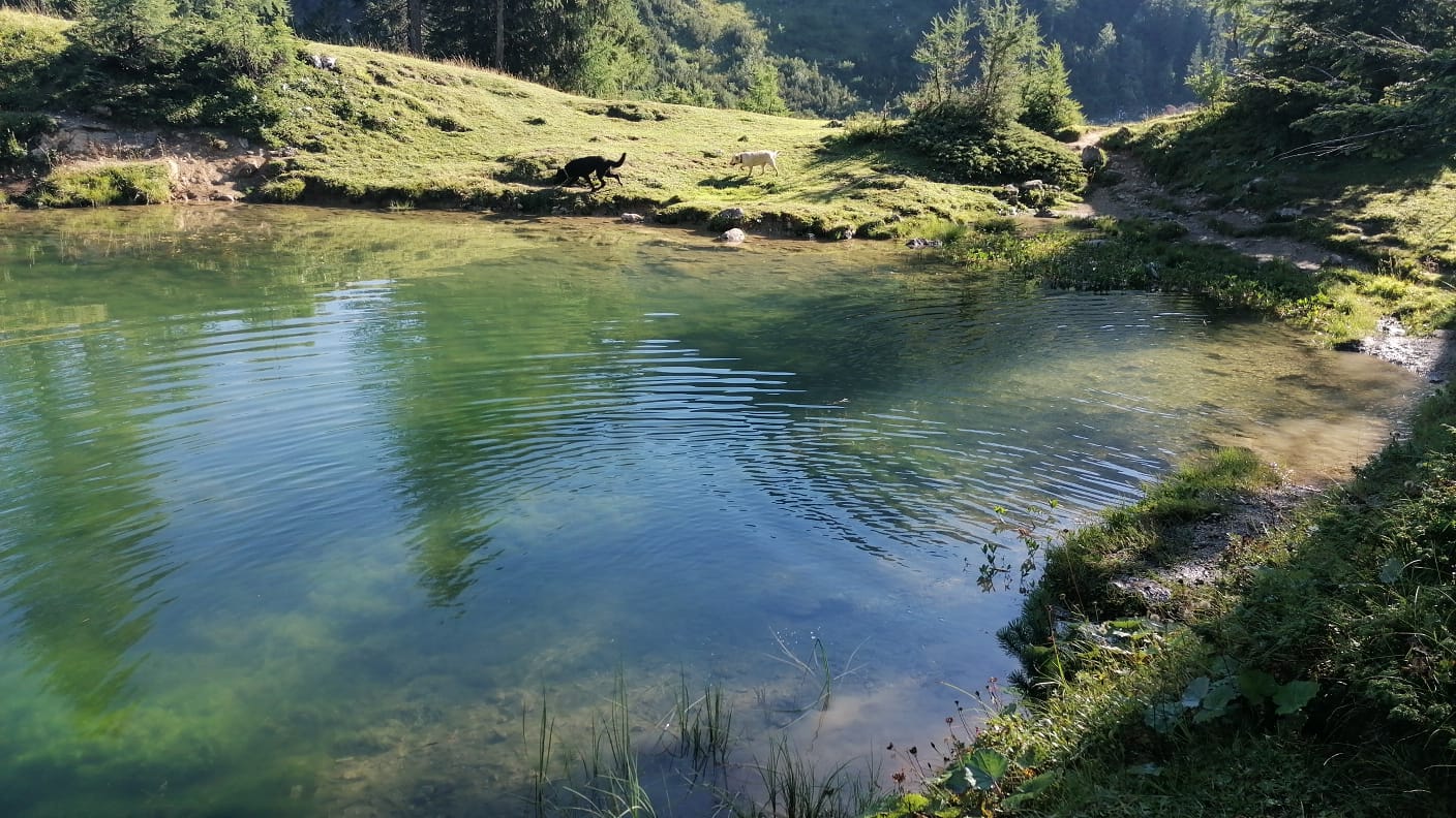 Jagdhütte Tauplitzalm :: www.kitusa.at